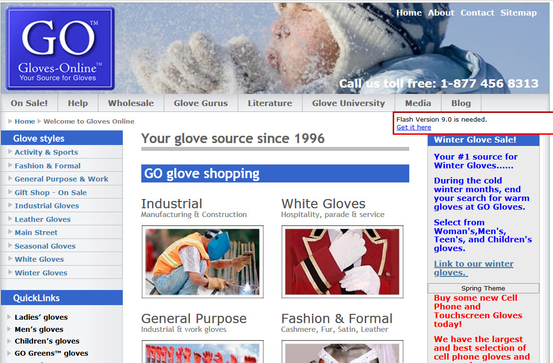 A look back at GO GLOVES® on the Internet - The Glove Guru
